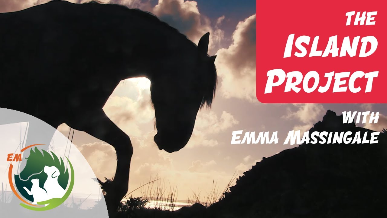 The Island Project – Trailer - Emma Massingale