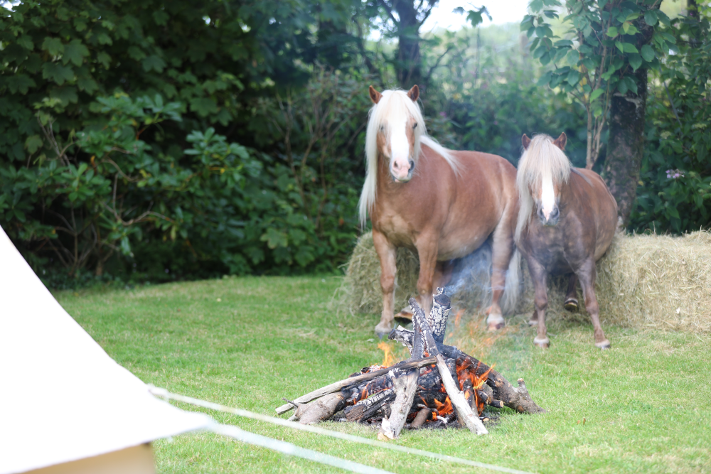 News - Emma Massingale