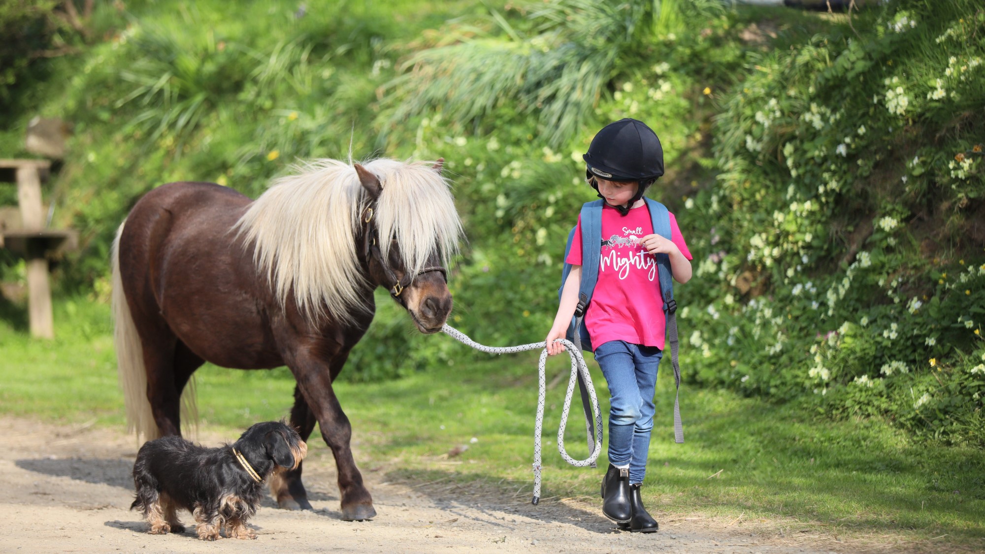 Shopfront - Emma Massingale