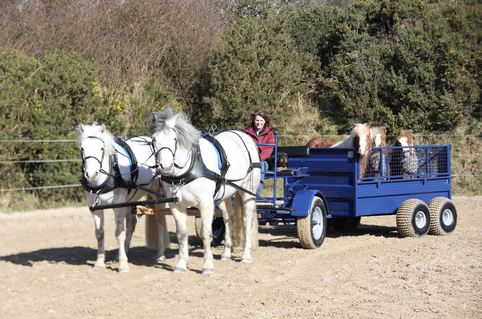 News - Emma Massingale