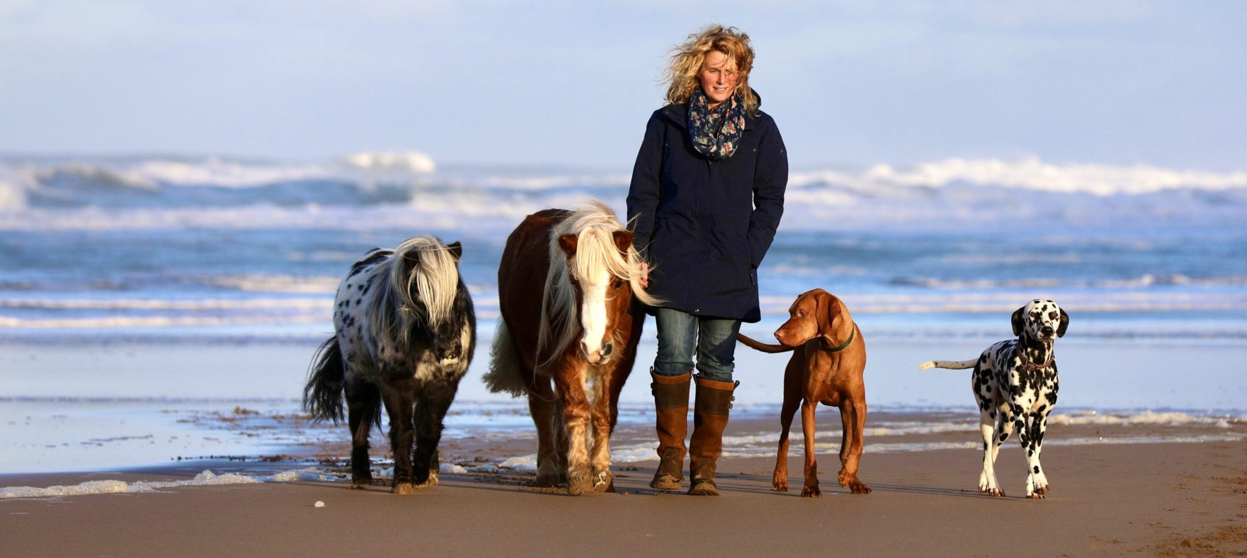 Products - Emma Massingale