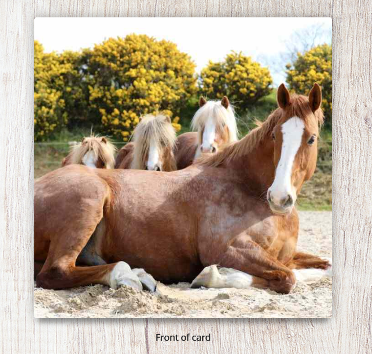 Ginger Horse & Ponies Card - Emma Massingale